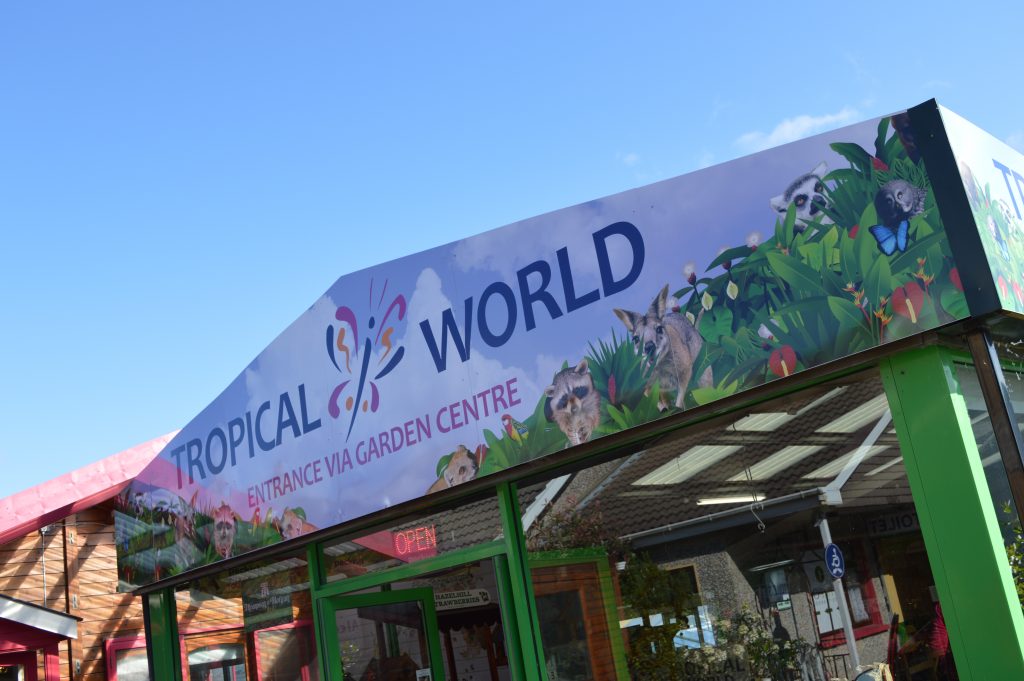 ALCORN'S TROPICAL WORLD - AROUND THE WORLD IN 18 YEARS